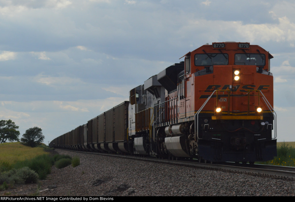 BNSF 8770 East - Coal